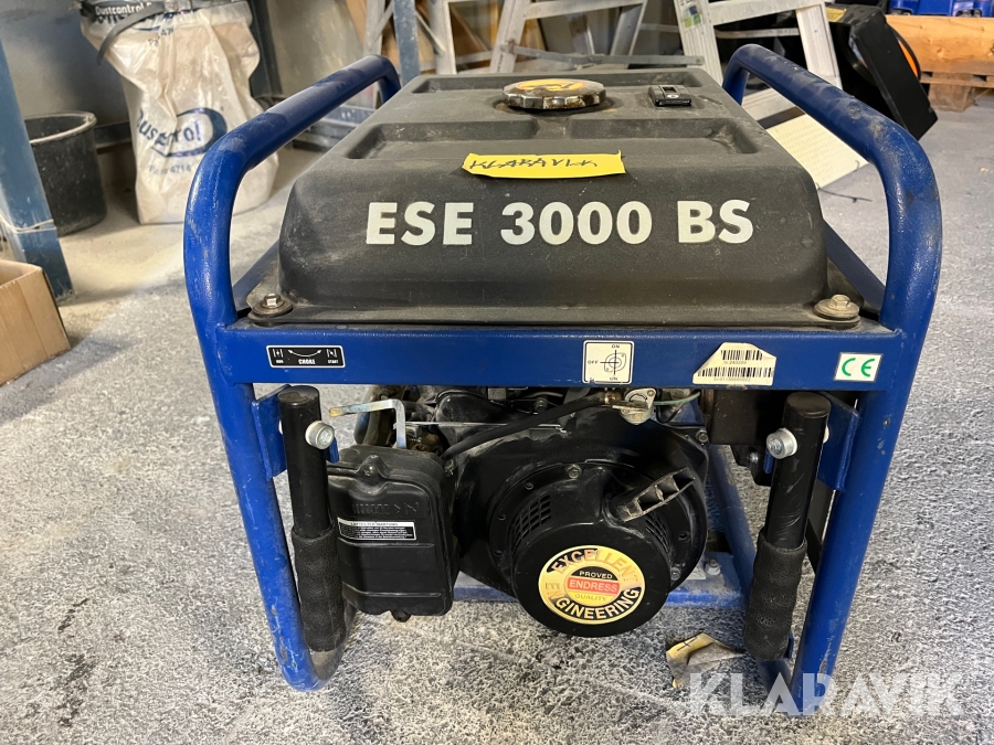 Elverk Endress ESE 3000 BS, Vallentuna, Klaravik auktioner