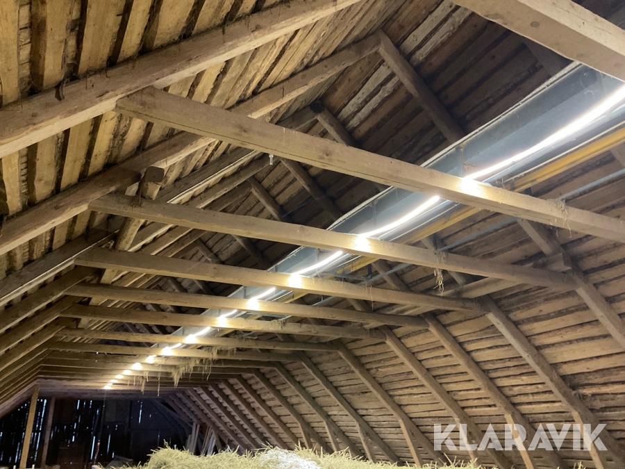 Nock/Bal -elevator, Emmaboda, Klaravik auktioner