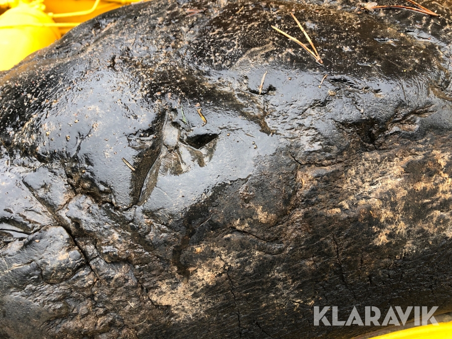 Dumperkärra Livab DD 10