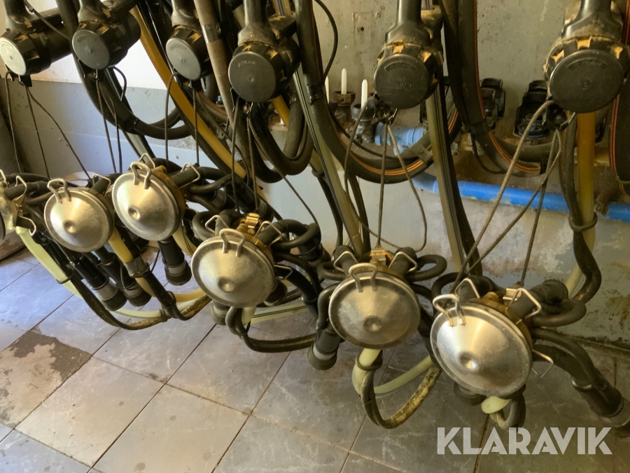 Klaravik Auktioner | Milkmaster Delaval 6 stycken