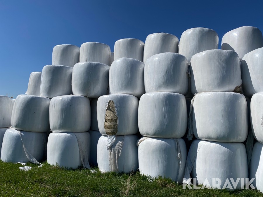 Rundbalar halm, av vete och korn 50st