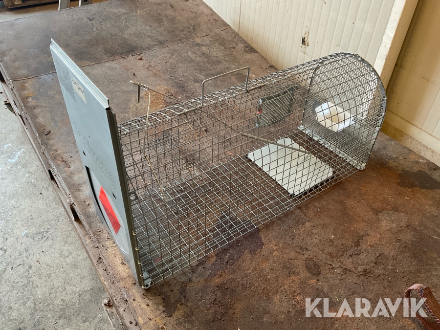 Djurfälla Lotin, Bollnäs, Klaravik auktioner