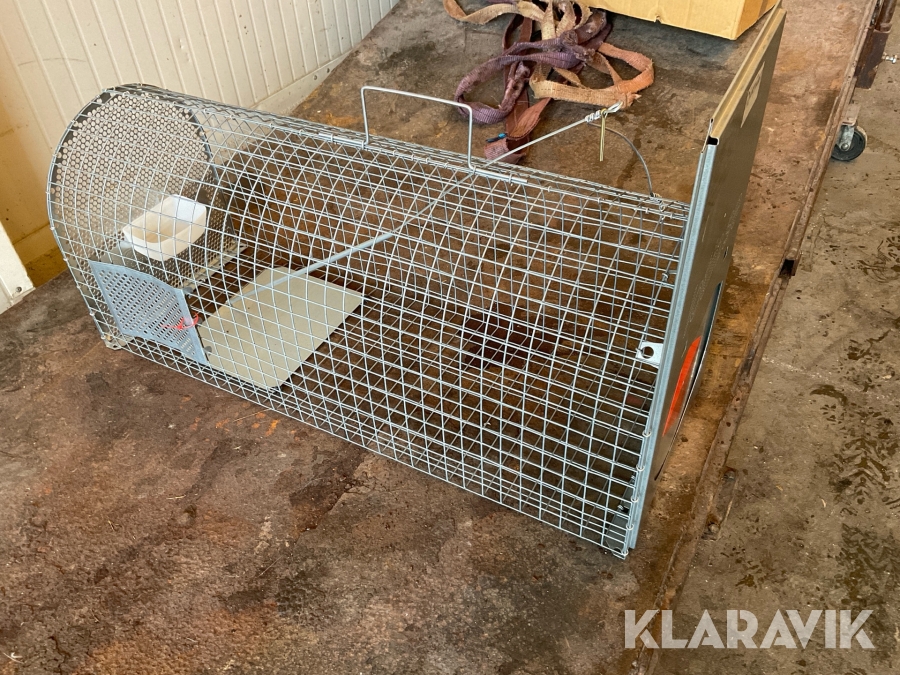 Djurfälla Lotin, Bollnäs, Klaravik auktioner