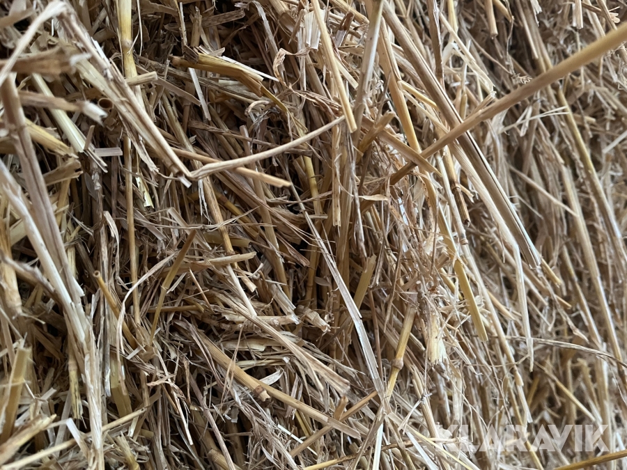 Halmbalar/fyrkansbalar 30 stycken, Klippan, Klaravik auktion