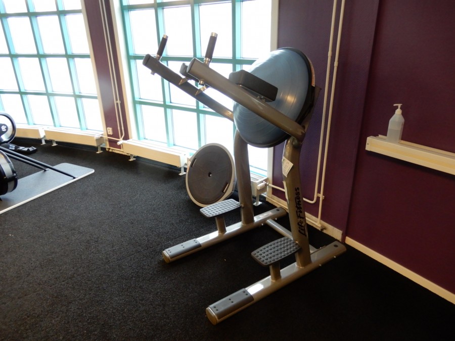 Träningsmaskin Signature Leg Raise