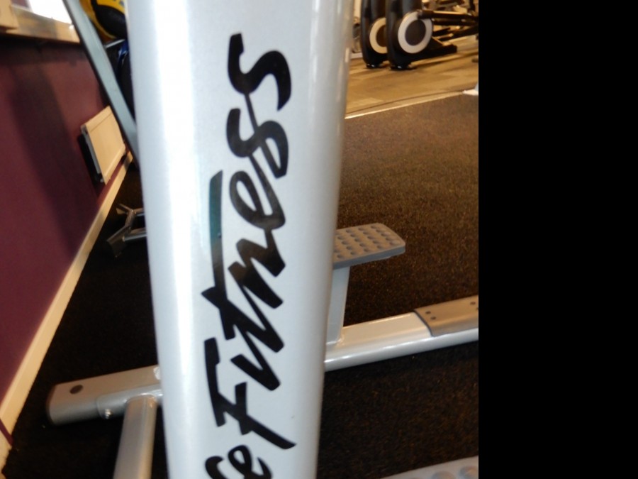 Träningsmaskin Signature Leg Raise