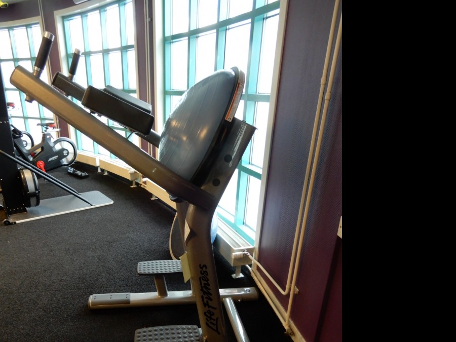 Träningsmaskin Signature Leg Raise